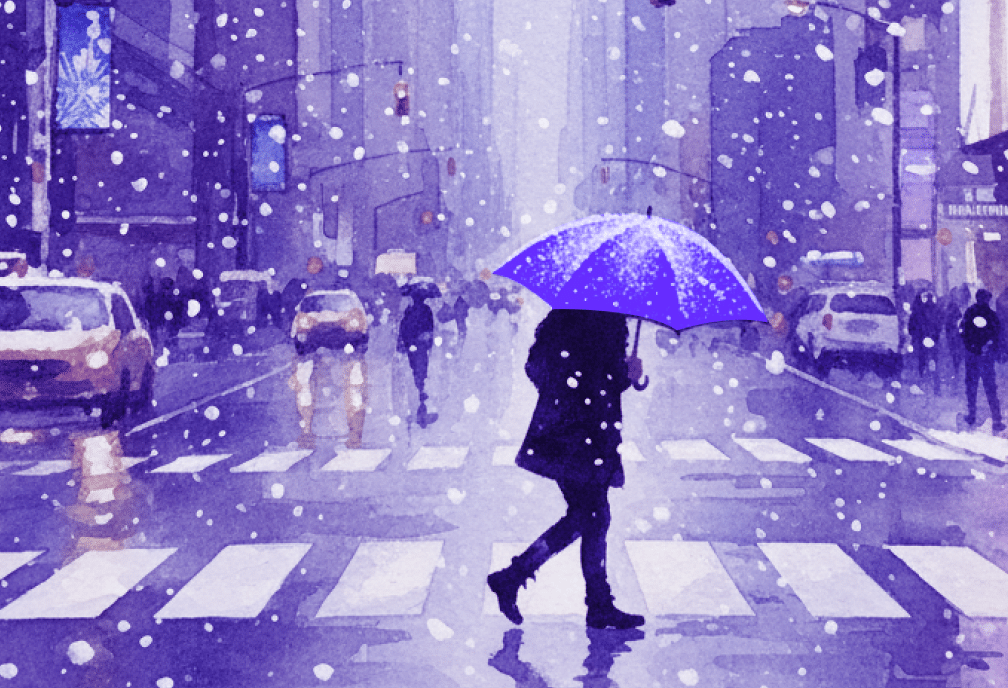 Holiday Season Payment Fraud Prevention Guide Trustpair